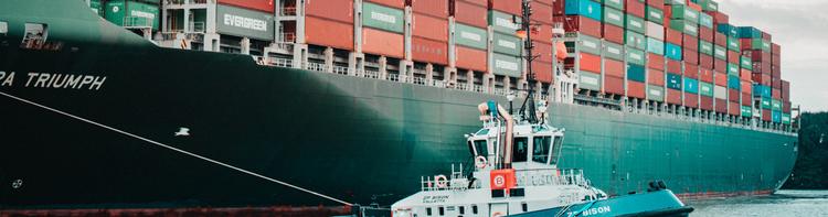 Customs Consultancy Services - Mondiale VGL